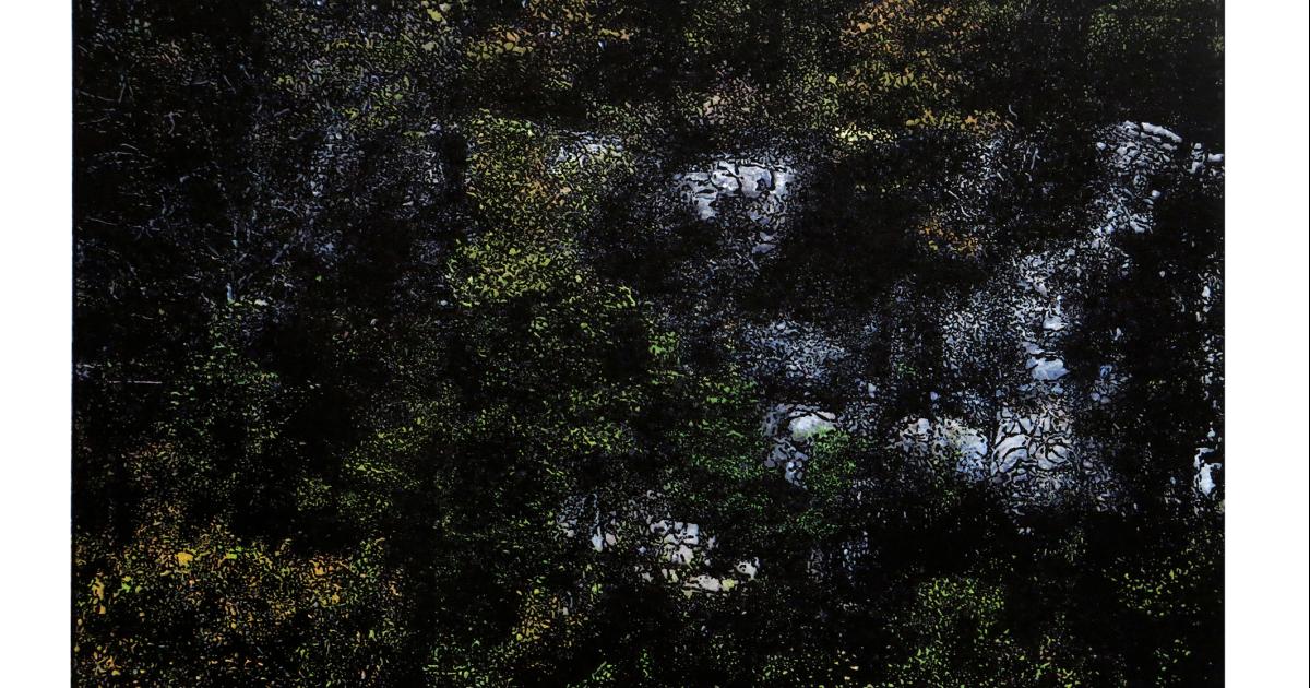 4760, Jean Paul RUIZ – Prix International de Gravure René Carcan – Prix ...